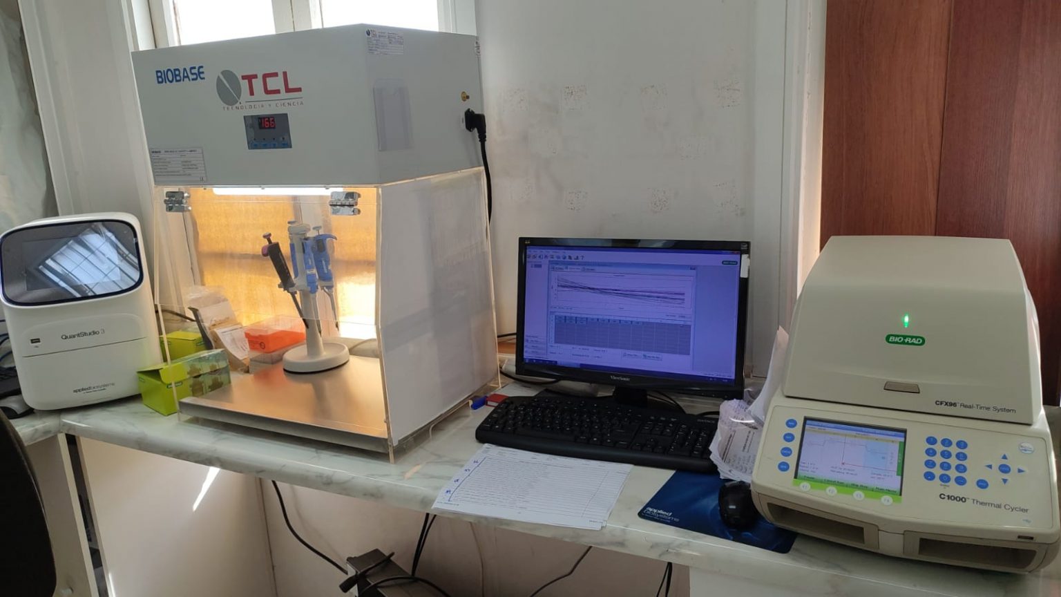 RTq-PCR Positiva – Laboratorio Biolab Ltda